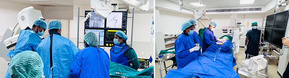 Neurology & Neurosurgery